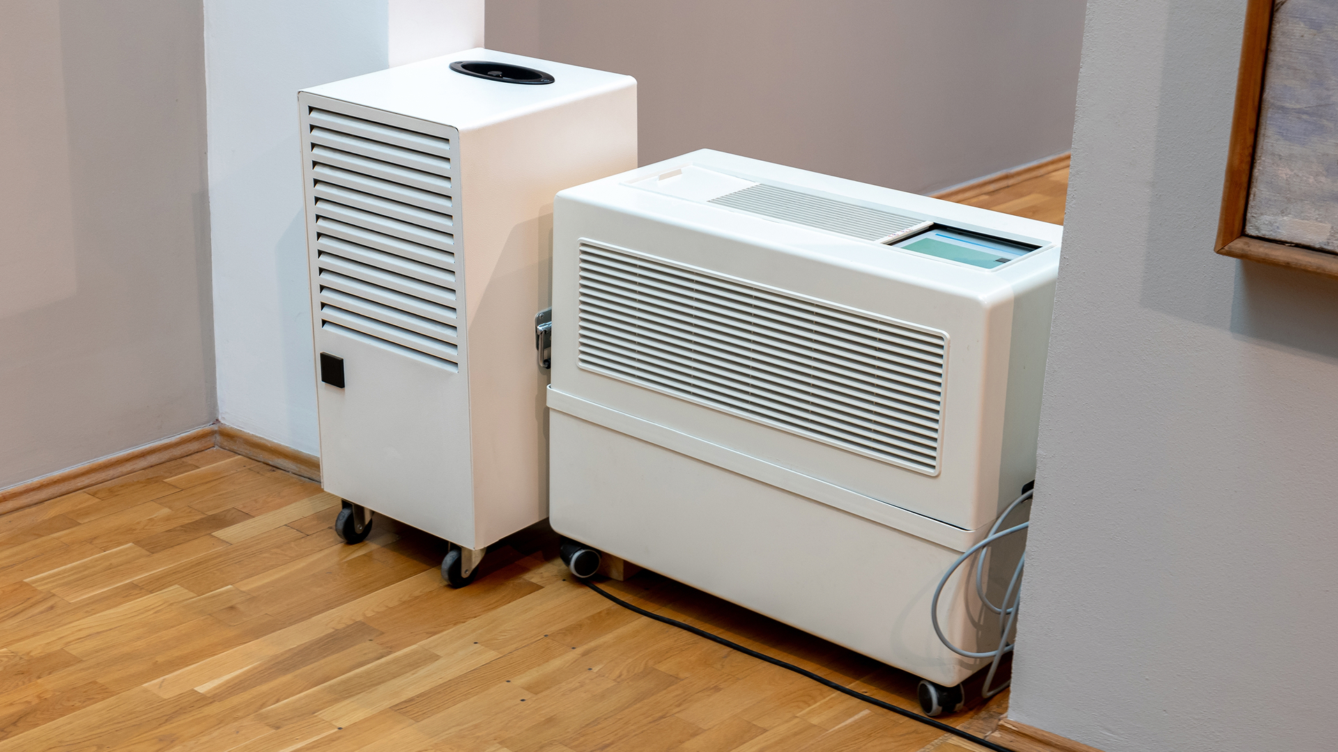 Common Misconceptions About Dehumidifiers | Bay Heating & Air Conditioning